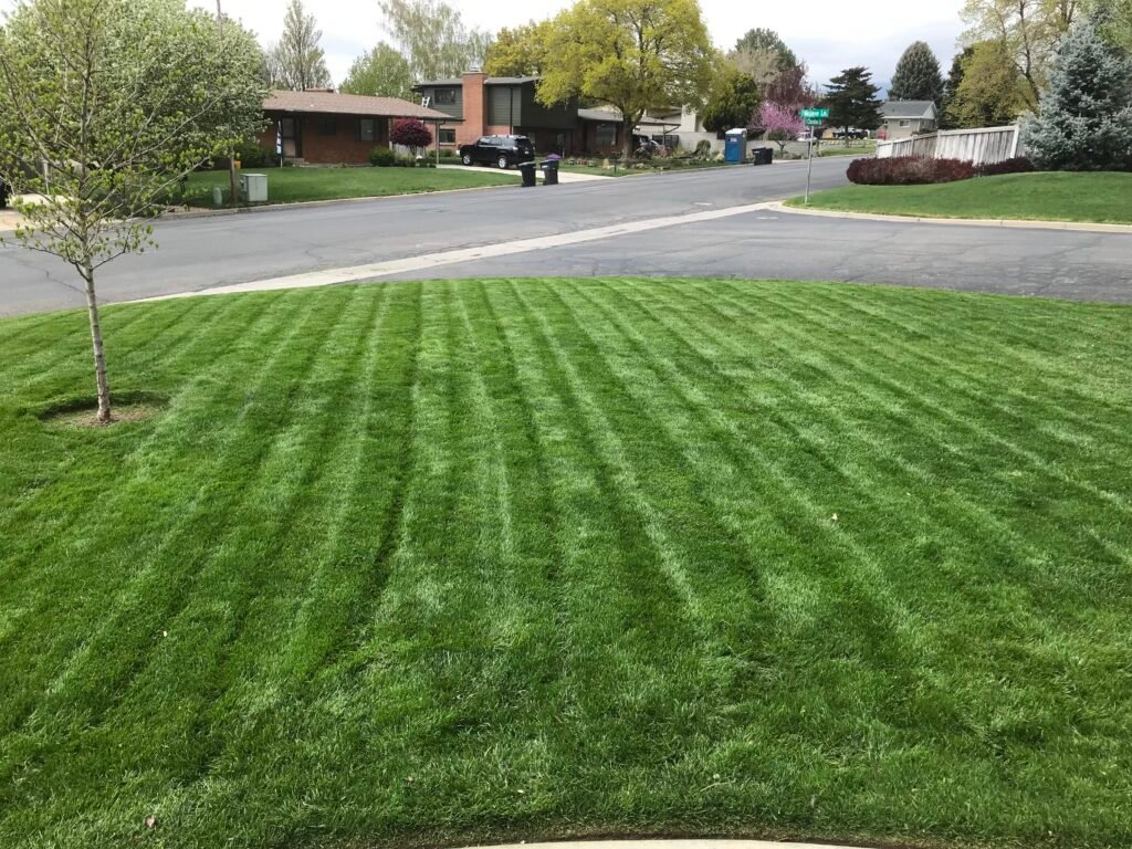 Fertilizing with 4 Step Programs – Trim Time Lawn Care