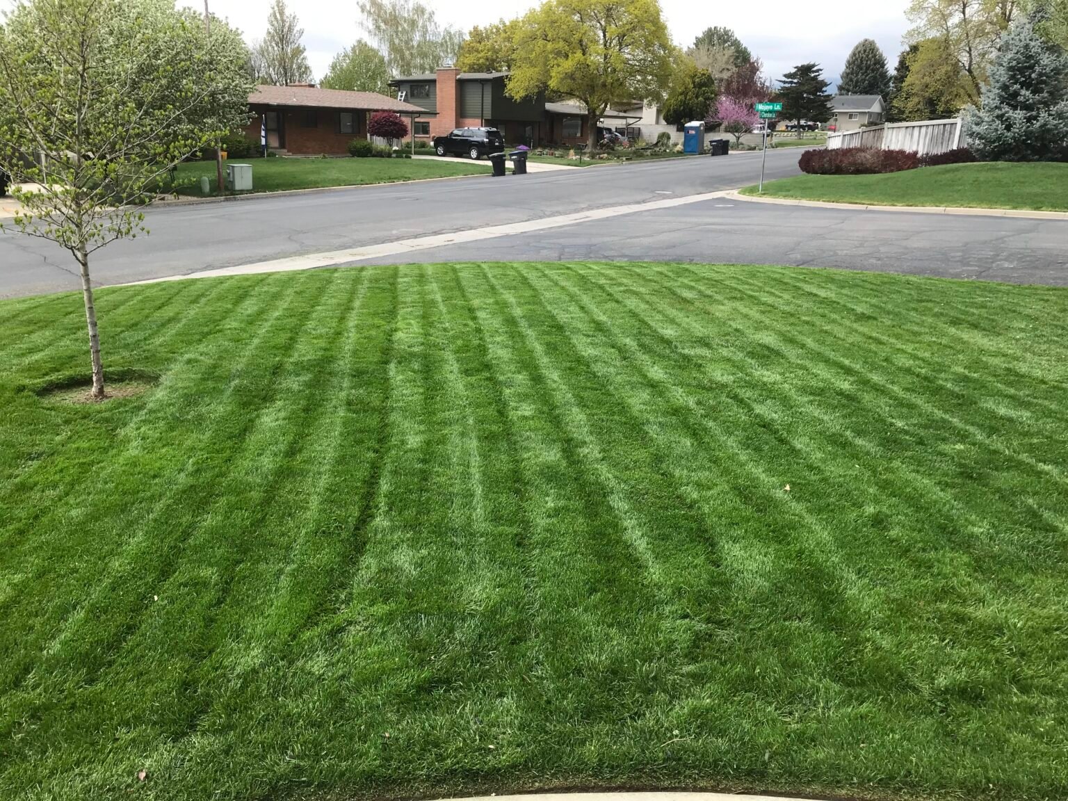 Fertilizing with 4 Step Programs – Trim Time Lawn Care