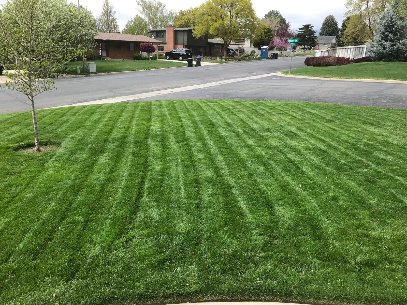 Fertilizing with 4 Step Programs – Trim Time Lawn Care